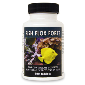 Fish Flox Forte (Ciprofloxacin 500mg) (100 Tablets) - Fish : Fish ...
