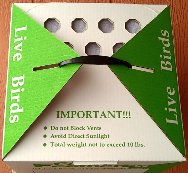 Item - Package of 12 - 12 x 12 FeatherEx Boxes : Live Bird Shipping ...